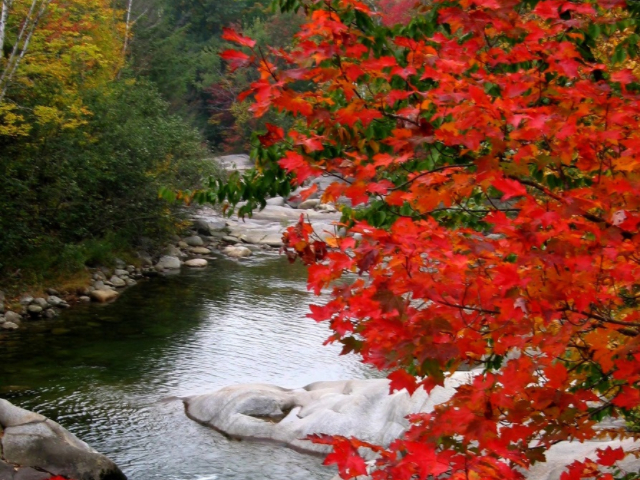 『赏枫热卖』白山国家森林公园、温尼珀索基湖、炮台山缆车、普利茅斯观鲸、白山溪谷、哈佛大学、波士顿市区 5日游_玩哪儿网